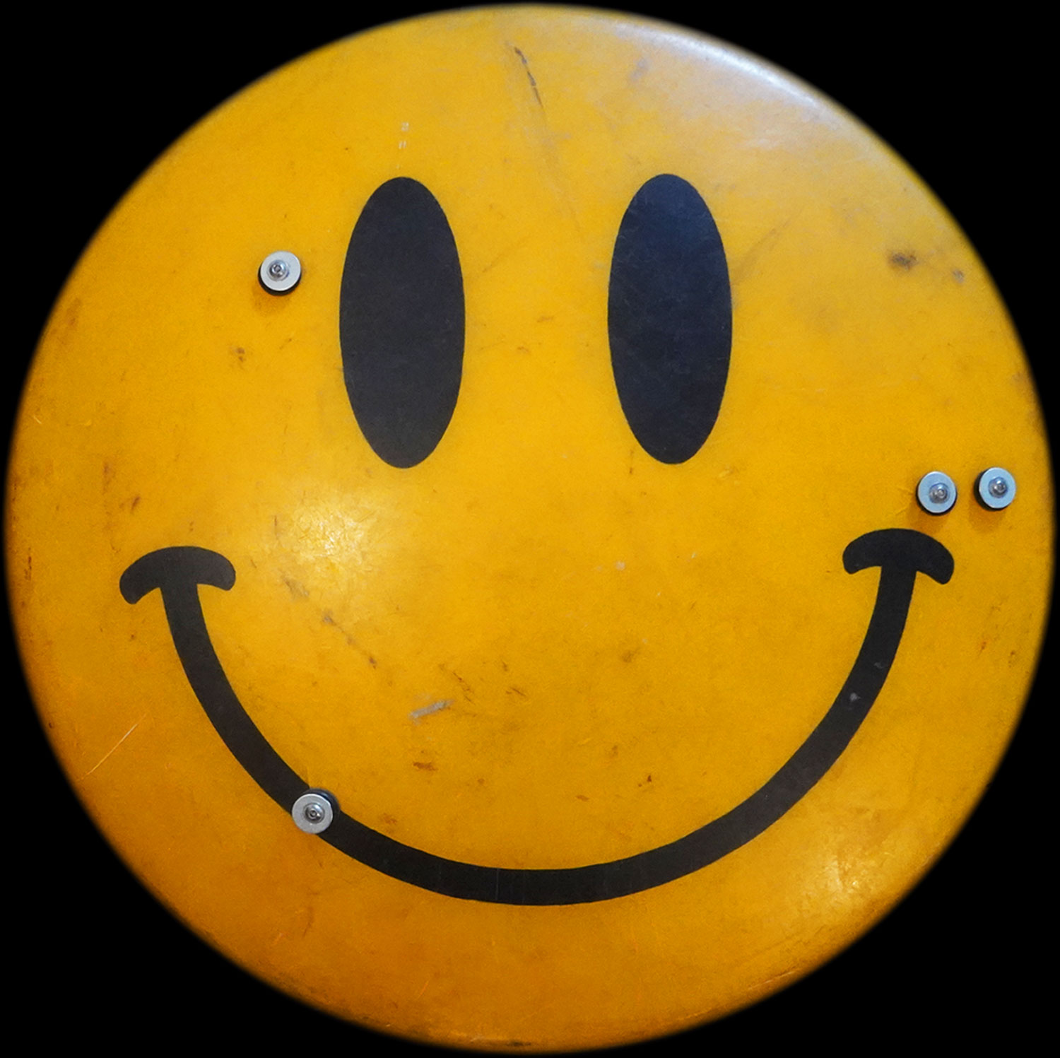 Jimmy Cauty Riot Shield – SRS 17 - S****y Riot Shields