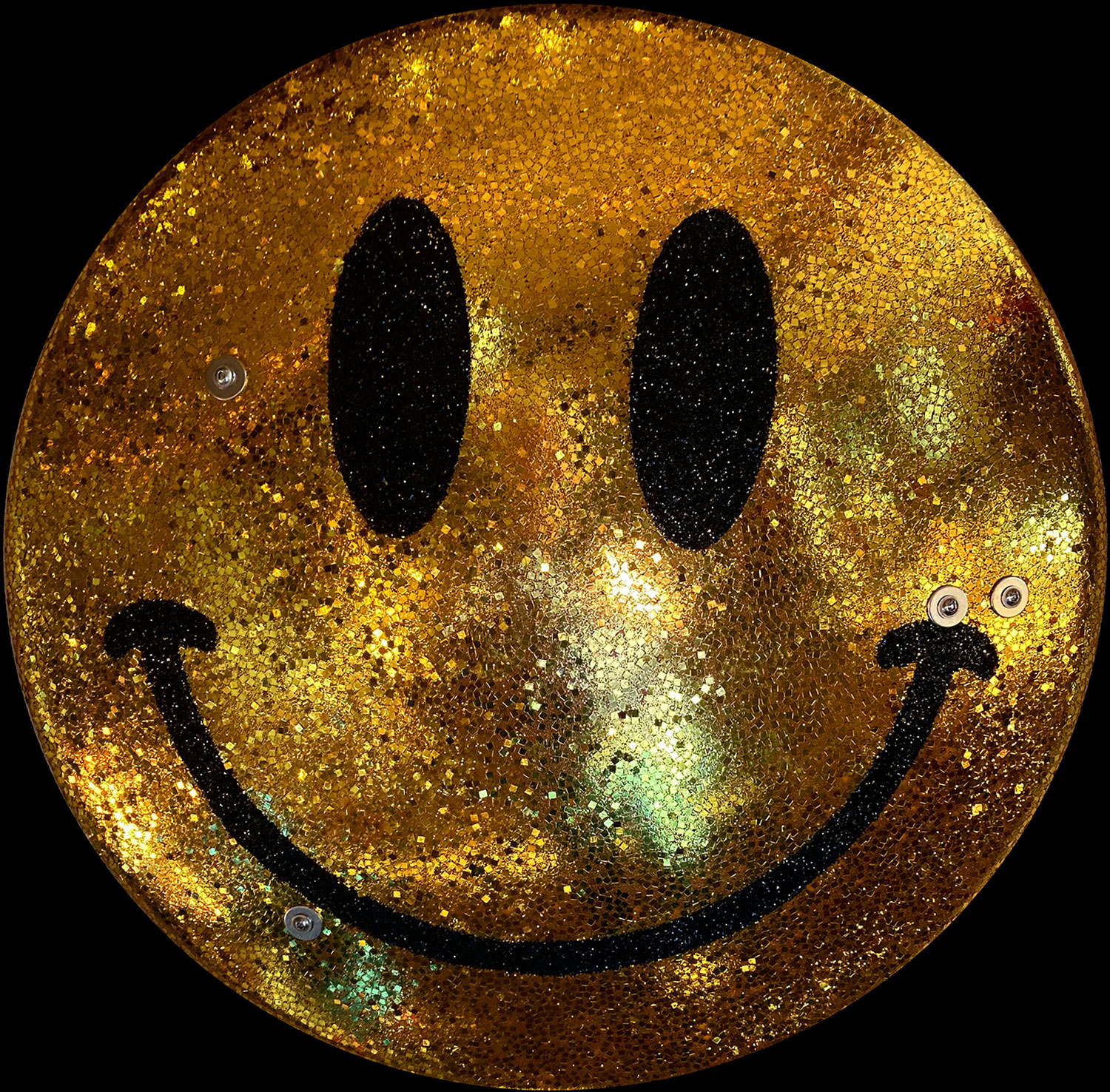 Jimmy Cauty Gold Glitter SRS 18 - S****y Riot Shields